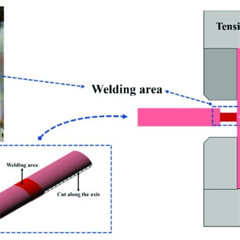 Simplified Schematic Diagram Of T Peel Test Cut One End Of The Vessel