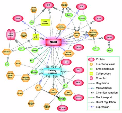 Pathway Diagram Of The Differentially Regulated Genes Identified In The