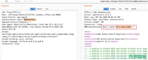 Ctfhub Web前置技能 协议 基础认证 Cn Sec 中文网 Ctfhub Web前置技能 协议 基础认证 Cn Sec 中文网