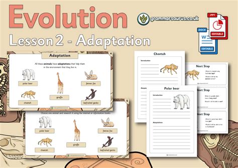 Year 6 Science Evolution Adaptation Lesson 2 Grammarsaurus