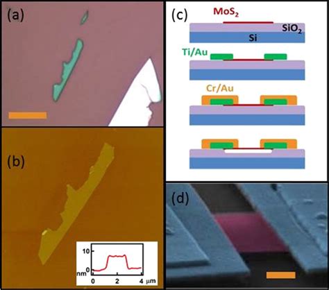 A B Optical And AFM Images Of A Typical Few Layer MoS2 Sheet