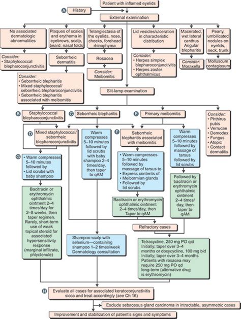 Seborrheic Vs Staph Blepharitis