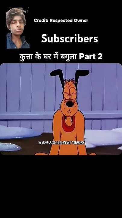 कुत्ता के घर में बगुला Part 2 Funny Shortvideo Viral Fun