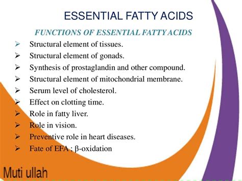 Fatty Acids Omega 6 Fatty Acids Classification Of Fatty Acids