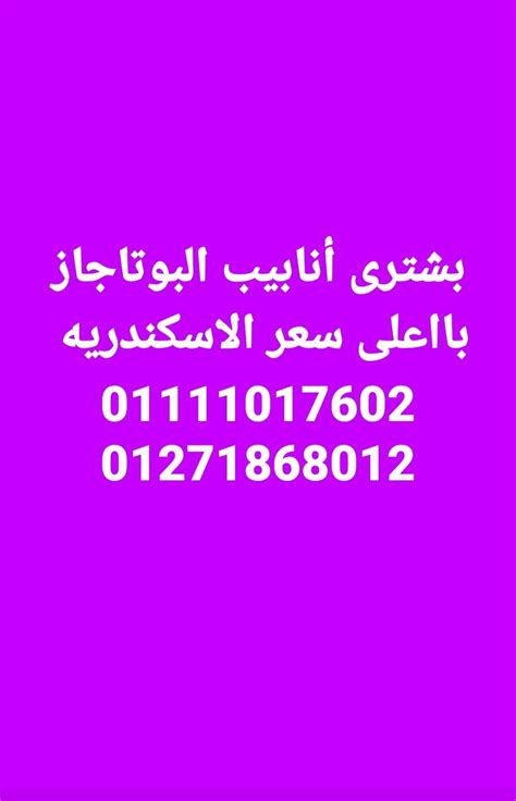 اهل ابوسليمان وشارع 20 الطيبين