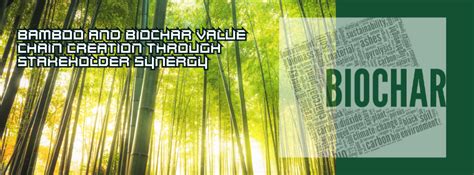 Bamboo And Biochar Value Chain Creation Through Stakeholder Synergy