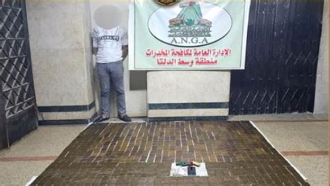 ضبط عنصر إجرامي بحوزته مواد مخدرة قيمتها 4 مليون جنيه في المنوفية