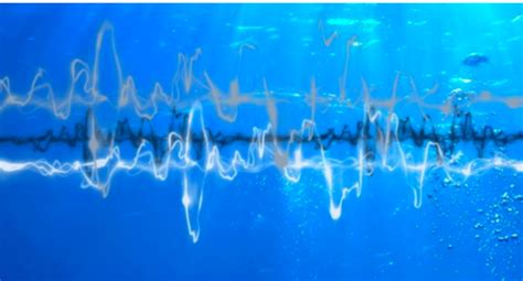 Loudest Sound Captured Under The Ocean