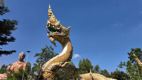 วังพญานาค 4 ตระกูล พุทธอุทยานหลวงปู่สด อ้วนพรางทะเลบูรพา