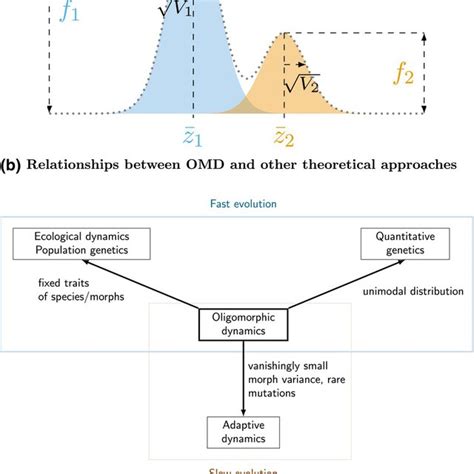 Omd In A Nutshell A The Full Trait Distribution ϕzt Phi