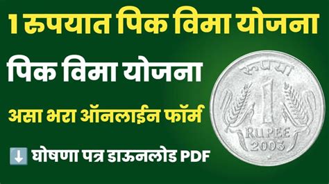 पीक पेरा पीक विमा स्वयंघोषणापत्र Pdf डाऊनलोड 2024 25 करा Pik Vima