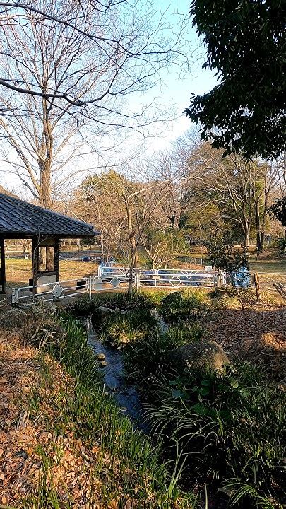 のどかな公園で Youtube