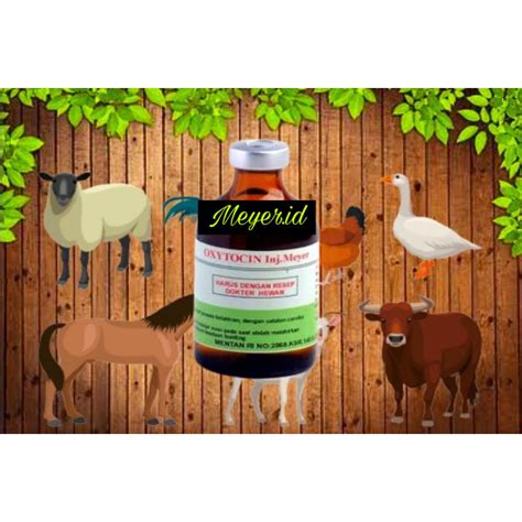 Oxytocin Inj Meyer 10ml And 50ml To Help The Process Of Birth By Tracting The Uterus With The