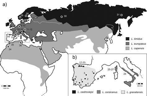 Figure 1 From Recurrent Introgression Of Mitochondrial Dna Among Hares Lepus Spp Revealed By