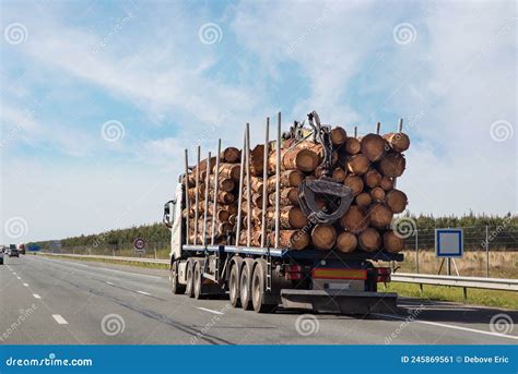 Camiones Que Transportan Troncos De árboles Para La Industria Maderera
