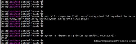 华为鲲鹏服务器 arm64 安装python3环境 python arm64 panda csdn博客