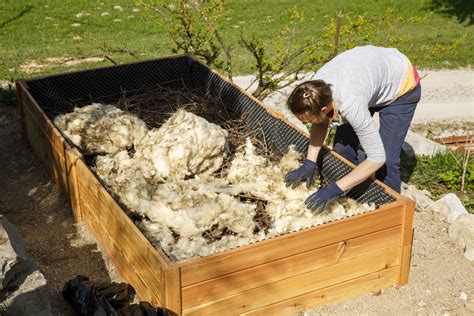 How To Fill A Raised Bed With Healthy Soil And Save Money