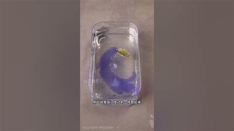 趣味科学小实验，简单易学 趣味实验 在家做实验 小实验大道理 科学小实验 正速手工折纸 Youtube