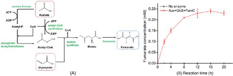 A Schematic Illustration Of The In Vitro Multi Enzyme Catalytic Download Scientific Diagram