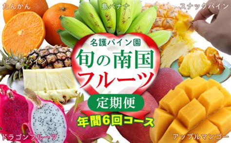 【名護パイン園】旬の南国フルーツ定期便（6回コース） 沖縄 産地直送 期間限定 南国フルーツ 果物 パッションフルーツ スナックパイン