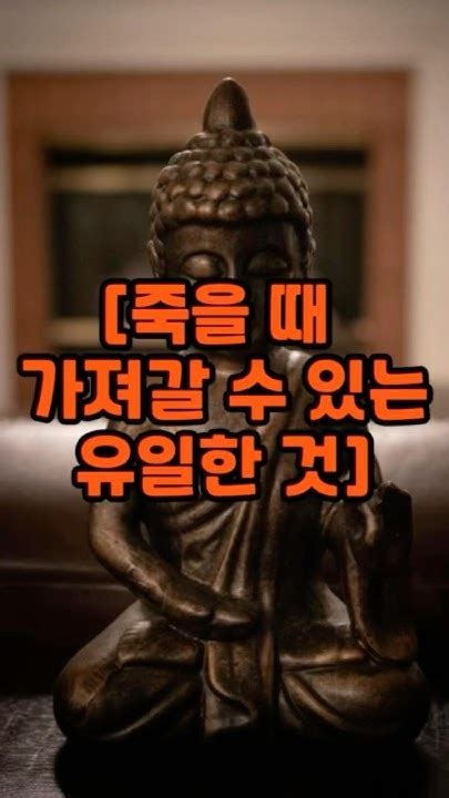 모든 것을 놓을 때 남는 것 명언 긍정의말 좋은글 자기수행 인생조언 긍정적마인드 자기계발 부자의삶 지혜 마음의소리로쓰는글 Youtube