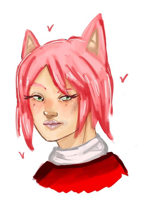 Gijinka Amy Rose Sonic Fr Amino