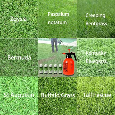 Lawn Care 101 Artofit