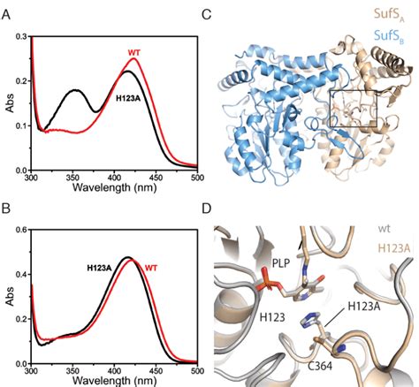 A Uv Visible Absorption Spectra For Fractions Containing Wt Or H123a Download Scientific