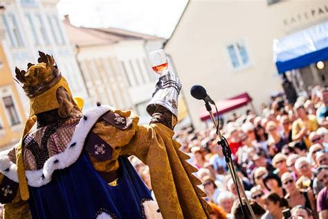 Fotogalerie pálavské vinobraní 2022 Blanenský deník