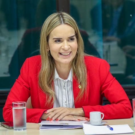 Daniella vota por aprovar PL que garante exames em pré natal Sony Lacerda