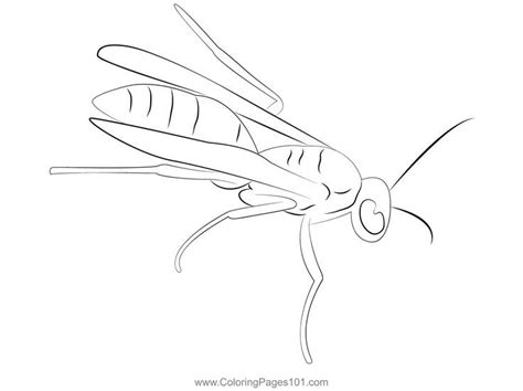 Misc Wasp Coloring Page Printable Coloring Pages Coloring Pages For