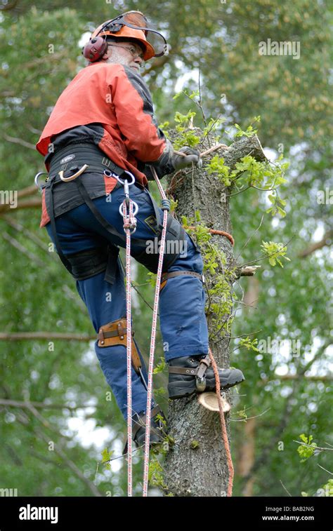 Woodman Sweden Hi Res Stock Photography And Images Alamy