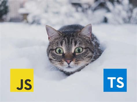 Javascript Sắp Có Kiểu Dữ Liệu Tĩnh Thông Tin Mới Nhất