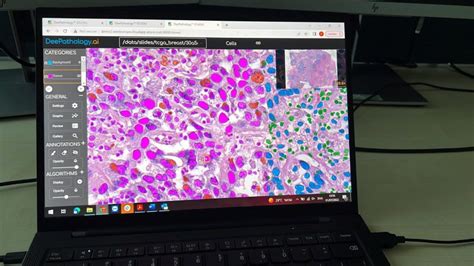 Miryam Shilat Posted On Linkedin