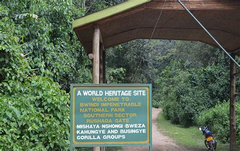 Mountain Hiking Experience Uganda Simba African Expeditions