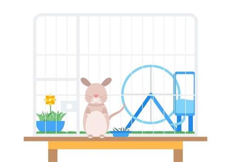 Gerbil Vector Art Icons And Graphics For Free Download