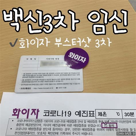 백신3차 임신 걱정 부스터샷 화이자 맞고 임신준비 몸은 갠찮아요 네이버 블로그
