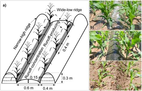 Furrow Irrigation Diagram
