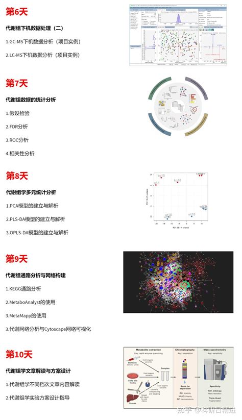 代谢组学数据分析及应用 知乎
