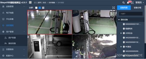 Ai智能视频监控系统在新能源汽车充电桩的可视化应用电动汽车充电站ai监管 Csdn博客