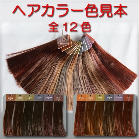 知覚的 疼痛 吹きさらし 色 見本 ブラウン Kakushowjp