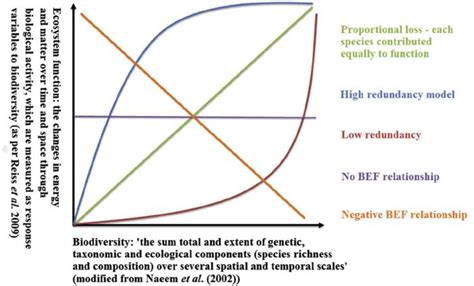 Figure 1 From Marine Biodiversity And Ecosystem Function Relationships The Potential For