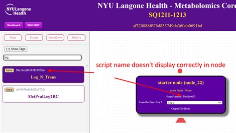 Wrong Node Display Name · Issue 1 · Nyumetabolomicsthe Executive Board · Github
