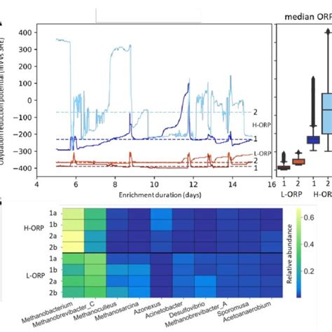 A Oxidation Reduction Potential ORP Graphs Of Replicate Download Scientific Diagram