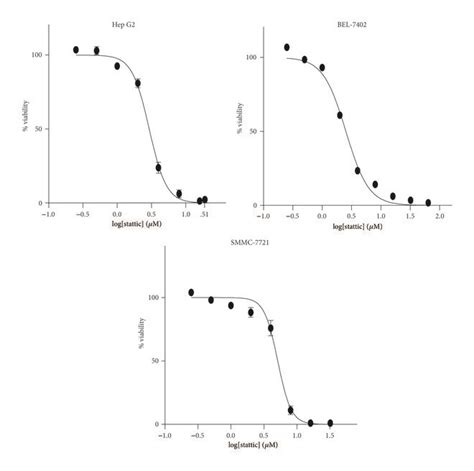 Stattic Inhibits Cell Survival Of Hcc Cell Lines Hep G2 Bel 7402 And