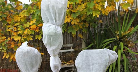Jardinage Que Faire Dans Votre Jardin En Novembre