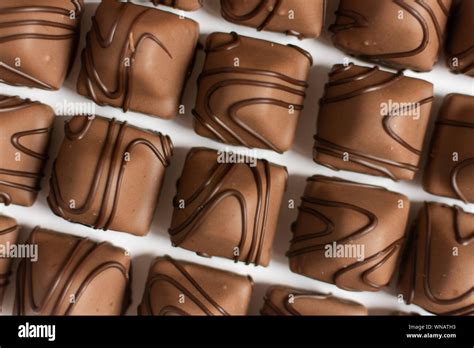 Chocolate Candy On White Background Chocolate Truffle Sweets Closeup