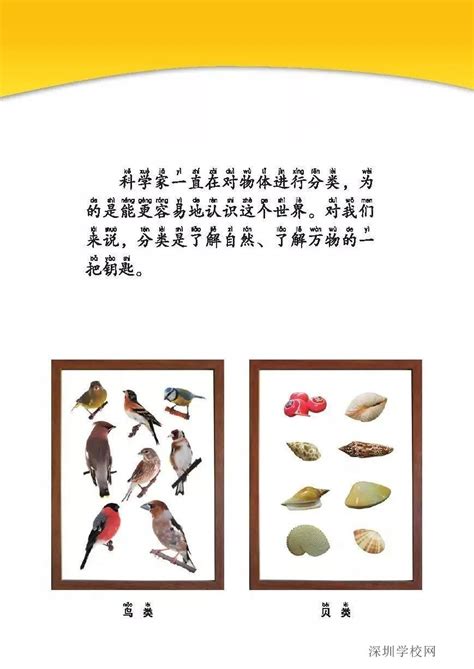 《封面》教科版小学一年级科学下册2017年审定课本教科版小学课本