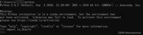 【oracle】2022年 Python3连接oracle数据库（window环境） Csdn博客