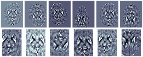 sample outputs of the data augmentation pipeline to create new images download scientific